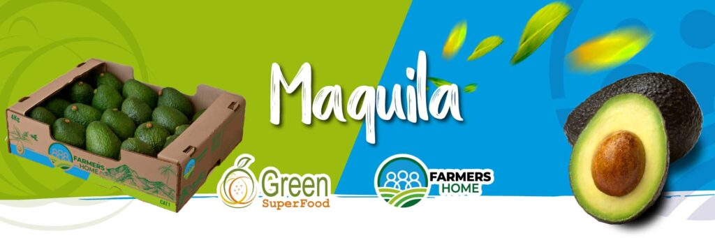 Maquila - Green SuperFood